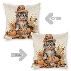 Cute Cat Autumn Pumpkin Throw Pillow Covers 18×18 Pillowcases Set of 1 Thanksgiving Day Linen Decorative Square Pillow Case Cushion Covers Standard Size for Sofa Couch Outdoor Bed Pillow Protectors