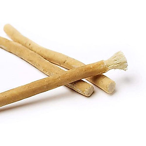 GOWO (10 Pack) Miswak Sticks Without Holders - Natural Teeth Whitening Kit - Natural Toothbrush - No Toothpaste Needed - Herbal Teeth Whitener and Breath Freshener - (Includes 10 Sticks Only)