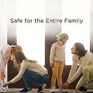 Moso Natural Shoe Odor Absorbers. A Scent Free Odor Eliminator for Shoes, Gym Bags and Sports Gear. Premium Moso Bamboo Charcoal Air Purifying Bag and Deodorizer (One Pack of Two 75g Bags)