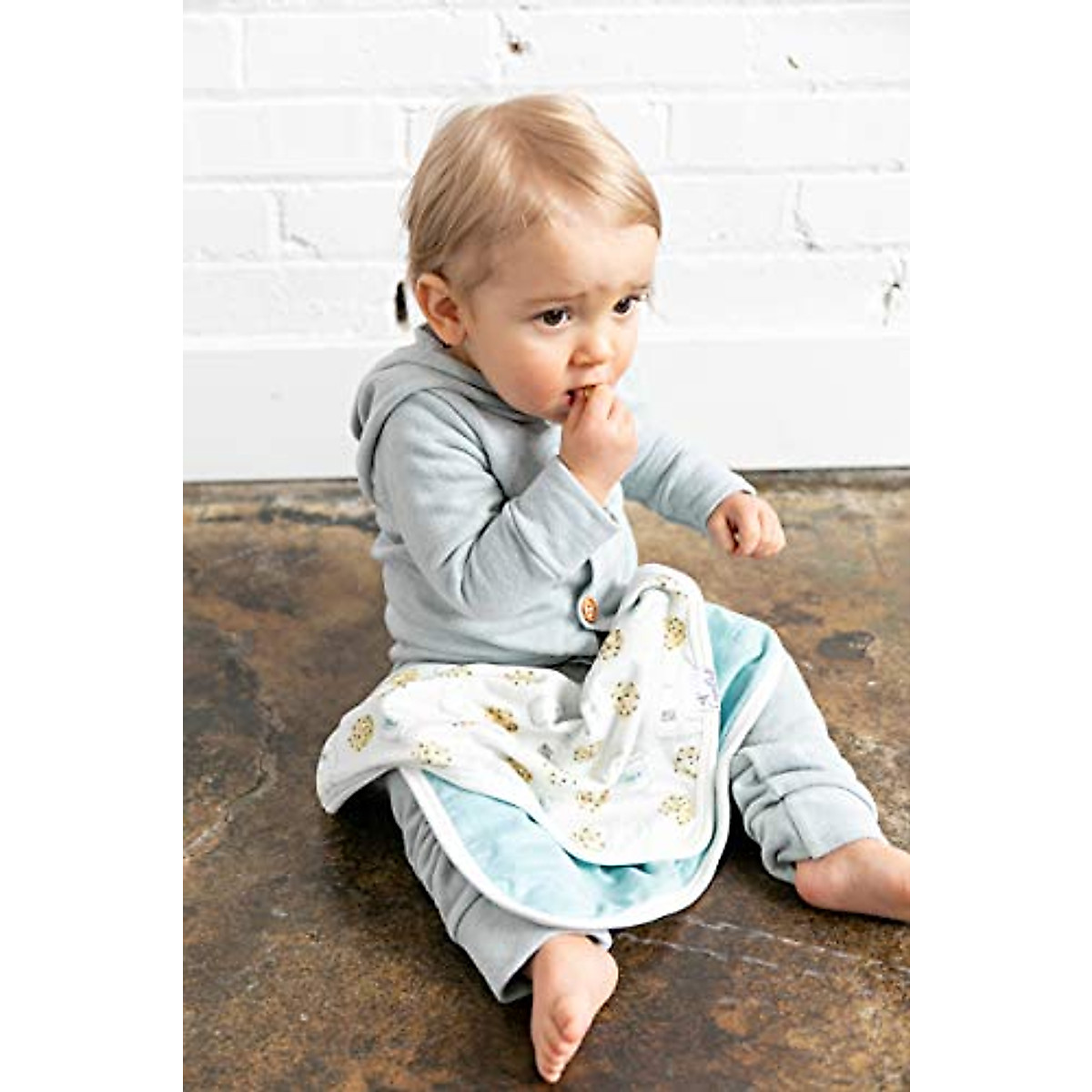 Copper Pearl Baby Security Blanket Set of 2 - Portable Size for Self-Soothing On-The-Go, Ideal Baby Blankets for Boys and Girls, Ultra-Soft, and Gift-Ready Loveys - Chip