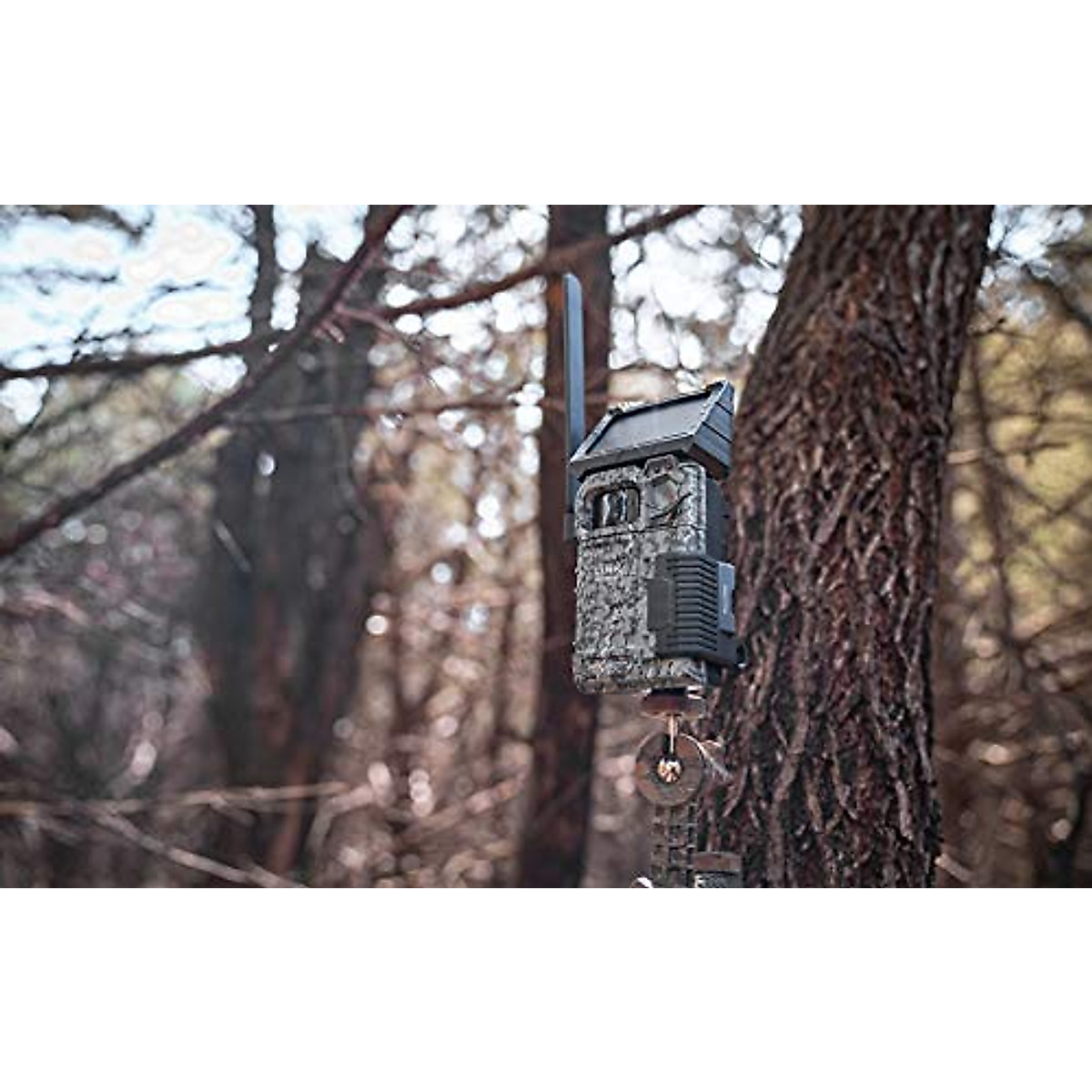 SPYPOINT Link-Micro-S-LTE Solar Cellular Trail Camera with LIT-10 Battery and 32 GB Micro SD Card (Link-Micro-S-LTE-V)