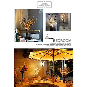 DK177 2 Pack Led Branch Light Battery Operated Lighted Branch Vase Filler Willow Tree Artificial Little Twig Power Brown 30 Inch 20 LED for Home Romantic Decoration, Warm White