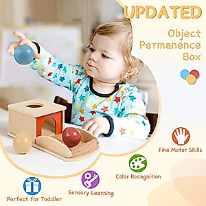 Zeoddler Object Permanence Box with Tray 3 Balls 50 mm, Montessori Toys for 1 Year Old, Wooden Toys for Toddlers, Preschool Learning Activities, Gift for Girls Boys