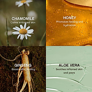 Hypoallergenic Renewing Dog Wipes - Grooming Natural Fresh Aloe Wipes for Paws, Face, Skin, Eyes, Ears, Butt - Perfect for Puppy & Adult Dogs - Vet Dermatologist Formulated - Extra Thick (72 Count)