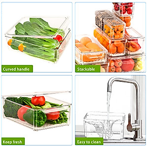 Yustuf 10-pack Stackable Refrigerator Organizer Bins with 6 Liners, Fridge Organizers and Storage Clear with Lids Plastic Fruit Vegetable Storage Containers with 5pcs Sealing Clips