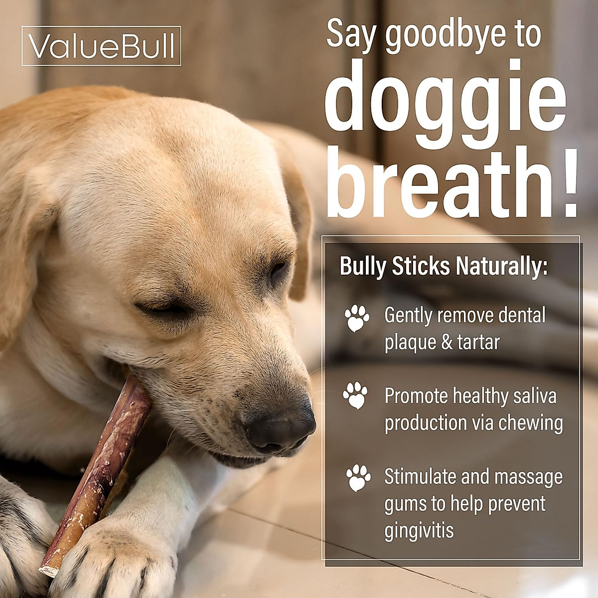 ValueBull Bully Sticks for Dogs, Medium 12 Inch, 50 Count - All Natural Dog Treats, 100% Beef Pizzles, Single Ingredient Rawhide Alternative