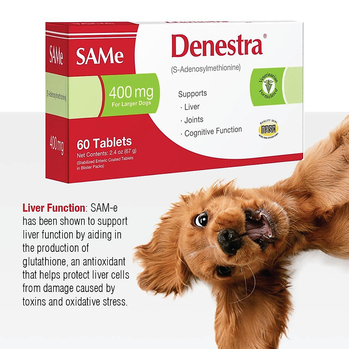 Denestra - Same for Dogs - S-Adenosyl-L-Methionine - Liver, Joint and Cognitive Support for Large Dogs - Vet Approved - 400 mg - 60 Tablets