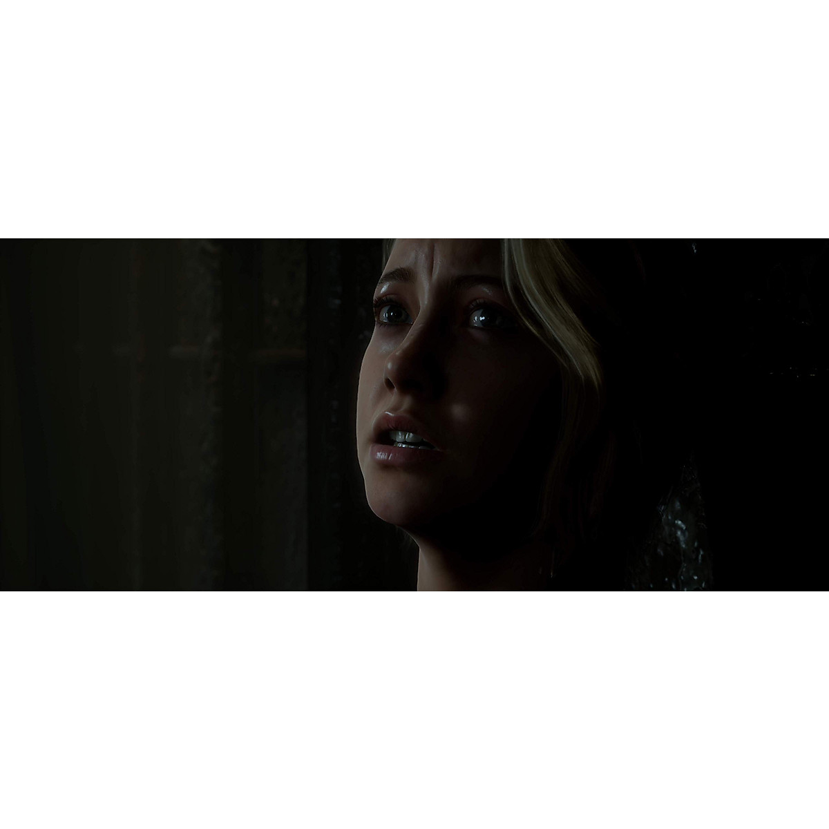 The Dark Pictures Anthology - Man of Medan - PlayStation 4