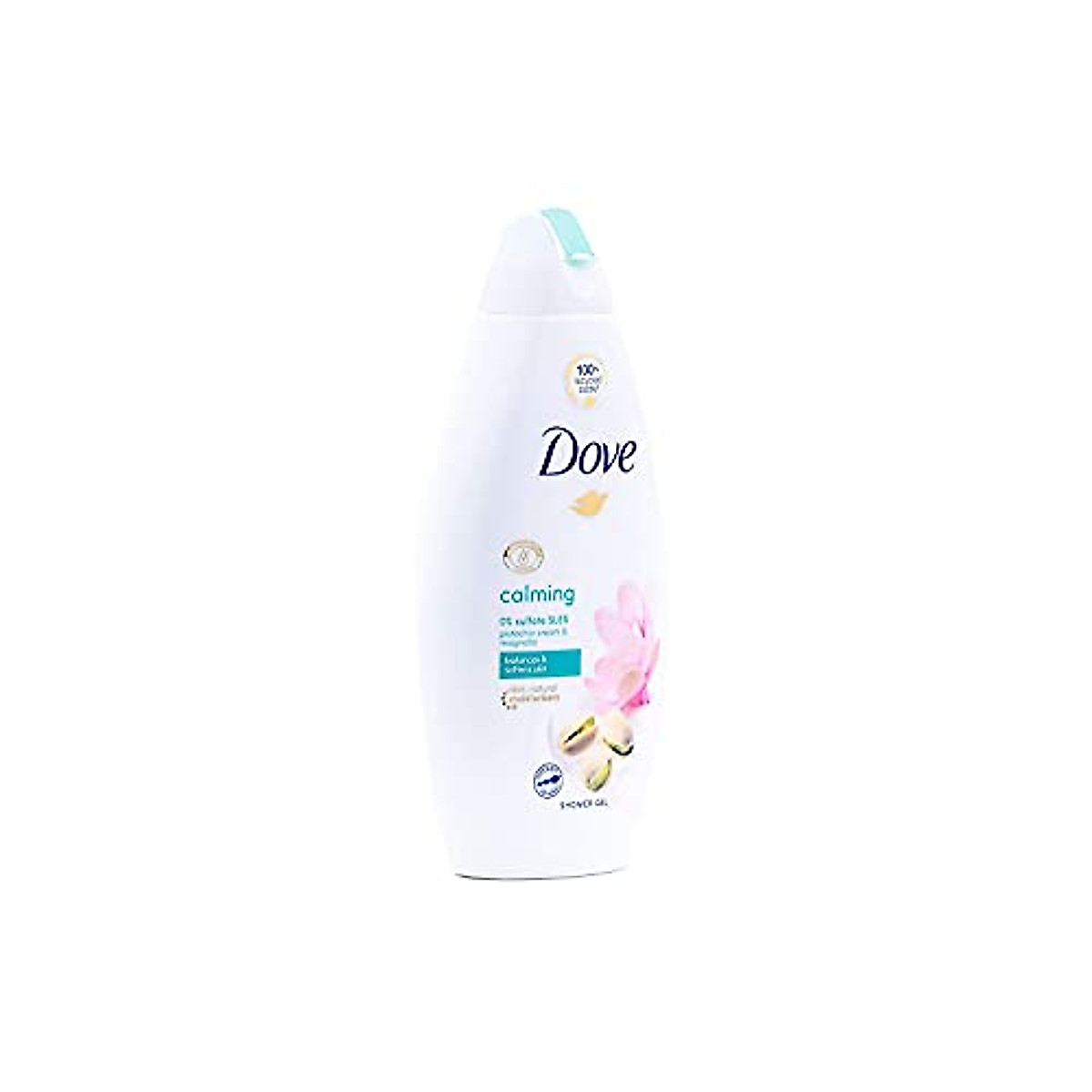 Dove Body Wash Variety - Shea Butter, Deep Moisture, Pistachio Cream, Coconut Milk, Gentle Exfoliating and Silk Glow, 16.9oz Each International Version ,16.9Oz, 6 Count (Pack of 1)