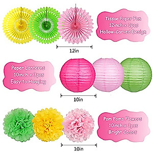 Flamingo Party Supplies, Hawaiian Party Decorations Flamingo and Pineapple Honeycomb Ball Paper Lanterns Paper Fans Pom poms Flowers for Birthday Luau Tropical Bachelorette Party