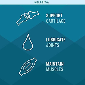 VetIQ Hip & Joint Supplement for Dogs, Anti Inflammatory Joint Support, Glucosamine, MSM, and Krill, Chicken Flavored Soft Chews, 60 Count