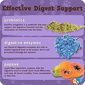 Jack&Pup Bundle - Bully Sticks + Pro-Digest Supplements | 6-Inch Odor Free [Thick Size] Bully Sticks (5 Pack) | Pro-Digest Probiotics for Dogs (60 Chews)