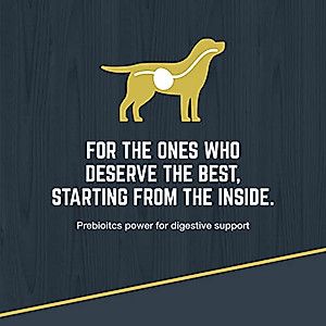 Black Gold Explorer Dry Dog Food for Adult Dogs, Original Performance 26/18 Formula, 50 lb Bag