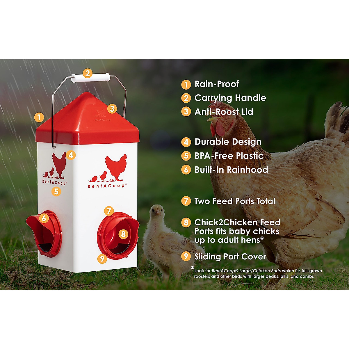 RentACoop Chick2Chicken 5lb 2-Port Feeder - Includes Anti-Roost Lid and Slider Port Covers - Suitable for Quail, Pigeons, Doves, Chicks, and Adult Chickens