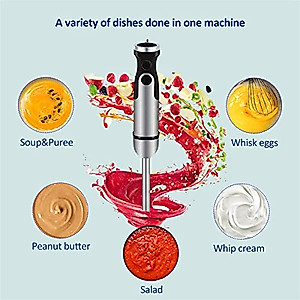 TRACONN Immersion Hand Blender Multi-Purpose 220V 4 IN 1 Blender Heavy Duty Copper Motor Stainless Steel Finish Includes Whisk Attachment, Chopper and Smoothies Cup (HB3302 EU Plug)