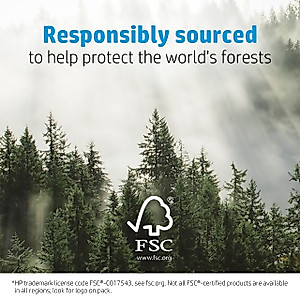 HP Professional Business Paper, Matte, 8.5x11 in, 48 lb, 50 sheets, works with inkjet printers (4WN01A)