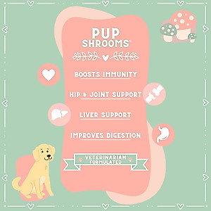 - Pup Shrooms - Mushroom Complex Soft Chews for Dogs - Lion's Mane, Turkey Tail, Shiitake - EPA, DHA, Turmeric and Organic Kelp - 160 Count - Boosts Immunity, Improves Digestion, Hip & Joint Support