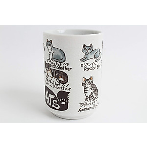 Mino ware Japanese Ceramics Sushi Yunomi Chawan Tea Cup Various Cats made in Japan (Japan Import) YAY050
