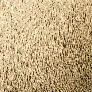 Lippert Components Lippert 380765 Teddy Bear Bunk Mattress - 28" x 74" x 4", Tan