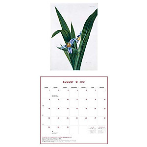 Botanicals 2021 Wall Calendar