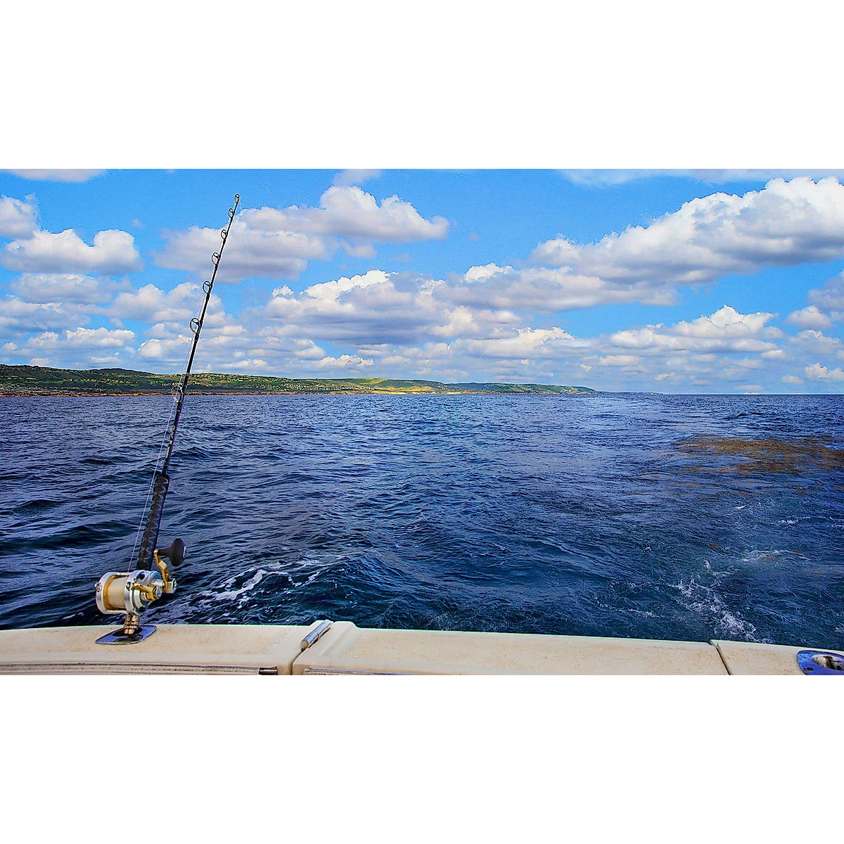 Oakley Gascan Sunglasses (Matte Black Frame, Prizm Sapphire Polarized Lens) with Country Flag Microbag