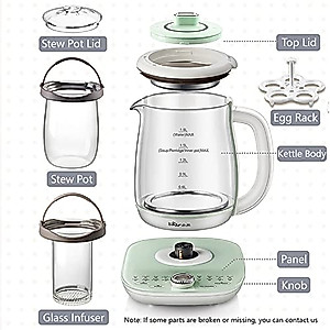 Bear YSH-C18S2 Health Pot, Electric Kettle Tea Maker with Infuser, Glass Kettle & Stew Pot, 16 Menus 1.8L 120V, Green