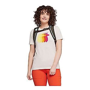 Cotopaxi Moda 20L Backpack - Cada Dia - Gulf