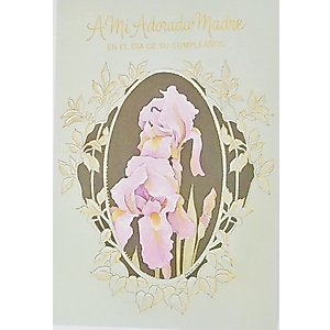 A Mi Adorada Madre En El Dia De Su Cumpleanos - Happy Birthday To Mom Greeting Card in Spanish Espanol
