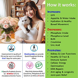 Eventually Young 12-in-1 Kidney Support for Dog & Cat with NMN & Fisetin - Super Phosphate Binder Kidney and Liver Supplement for Feline, Canine Healthy Aging & Longevity (60 Capsules)