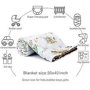HOMRITAR Baby Blanket for Boys Girls Soft Plush Minky Blanket with Double Layer Dotted Backing for Toddler Nursery with Woodland Animals Printed 30 x 40 Inch (75 x 100 cm)