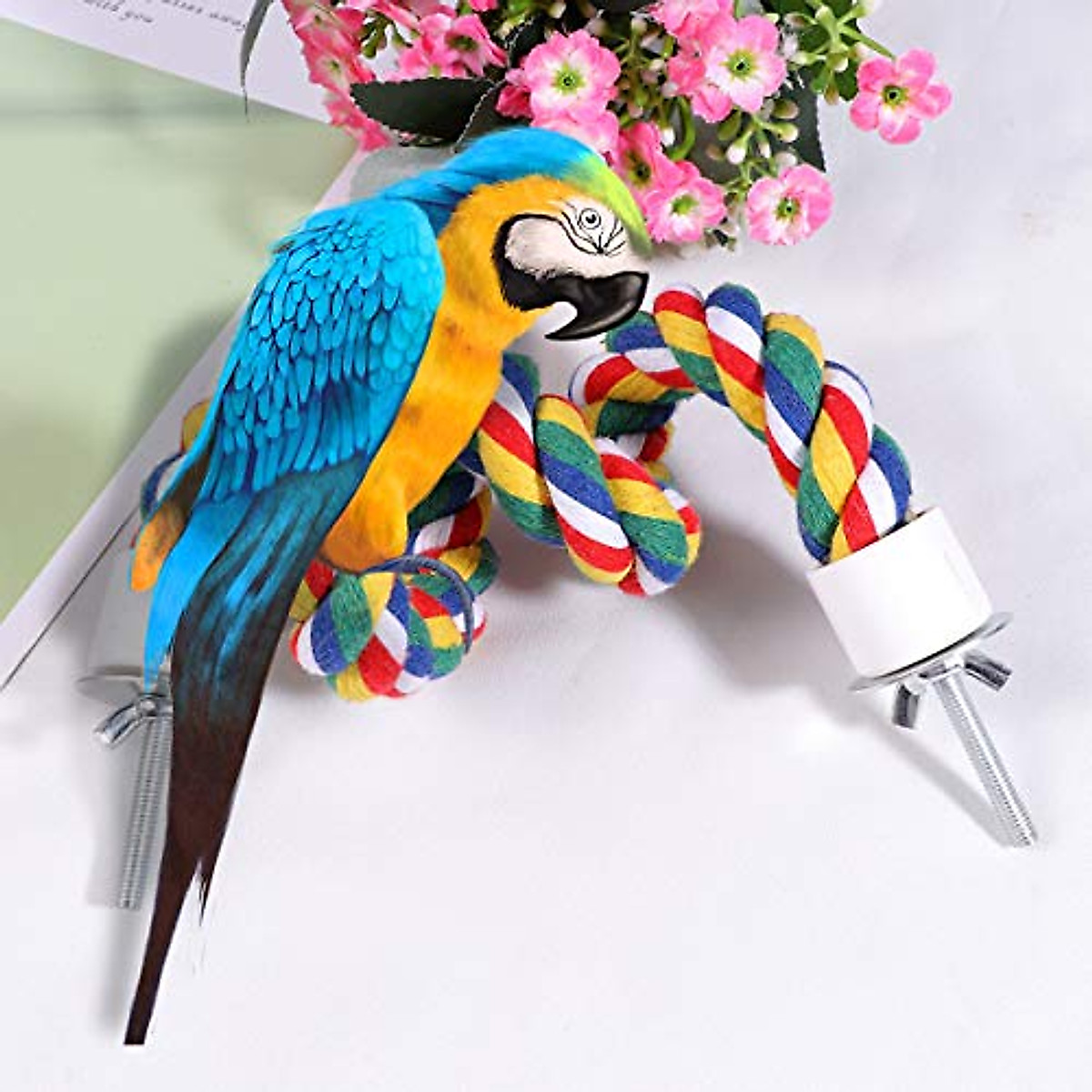 Chicken Swing Large Rope Bird Rope Perches, Comfy Perch Parrot Toys for Rope Bungee Bird Toy (60cm) Rope Bungee Bird Toy