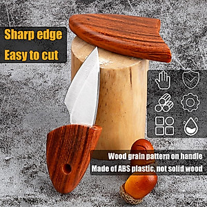 Roczipeng 2 Pieces Small Pocket Knife with Sheath, Keychain Knife for Men, Box Cutter Knife, Fish Shaped Fixed Blade Knife, EDC Pocket Knives for Outdoor Camping