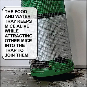 Billy Bob Multi-Catch Mouse Trap