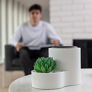 HAUS BRIGHT Echo Dot Holder | Google Mini Stand | 2nd/3rd Generation | Smart Accessories Cover Case | Clear Speaker, Mic, Lighting | Multi-Functional Planter, Money, Keys, Candy, Ring Dish