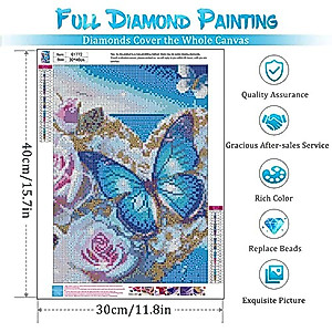 pvoodire Butterfly Diamond Painting Kits-Butterfly Diamond Art for Adults,5D Diamond Painting Butterfly for Gift Home Wall Decor(12x16inch)
