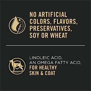 Purina Pro Plan Sensitive Skin and Stomach Dog Food Pate Salmon and Rice and Lamb and Oat Meal Wet Dog Food Variety Pack - (Pack of 12) 13 oz. Cans