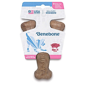 moofin Puppy, 1 Count - Wishbone Dog Chew Toy, Durable Teething Support with Real Bacon Flavor, Large - includes SS Pet Training Whistle, USA-Made, Dog Chew Toy [Pack of 3], Brown