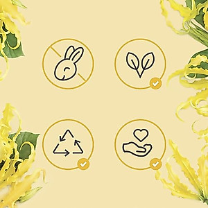 Love Beauty and Planet Coconut Oil & Ylang Hope and Repair Shampoo and Conditioner for Dry and Damaged Hair 2 Count, 13.5 oz each, Paraben , Silicone Free, Vegan