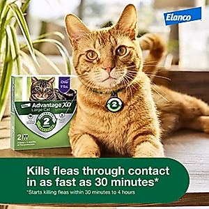 Advantage XD Large Cat Flea Prevention & Treatment For Cats over 9lbs. | 1-Topical Dose, 2-Months of Protection Per Dose