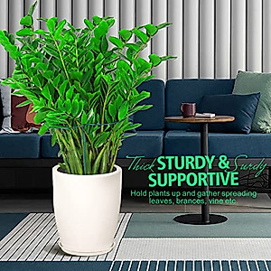 LEOBRO 4 Pack Plant Support Stake, Metal Garden Plant Stakes, Peony Support, Tomato Cage, Half Round Plant Support Ring Cage, Plant Support for Tomato, Rose, Vine, Indoor Plants (9.8" W x 15.7" H)