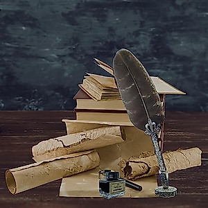 SHUEYEH Caligraphy Kits for Beginners, Feather Pen and Ink Set, Quill Pen X2, 10 Replacement Nibs, Silver Pen Stand, Antique Calligraphy Dip Pen with Black Ink (Pheasant+Turkey)