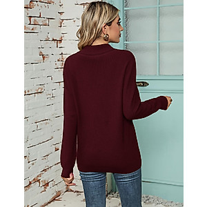 Ivicoer Collared Sweaters for Women V Neck Pullover Ladies Knitted Long Sleeve Tops Casual Fall Winter Polo Trendy