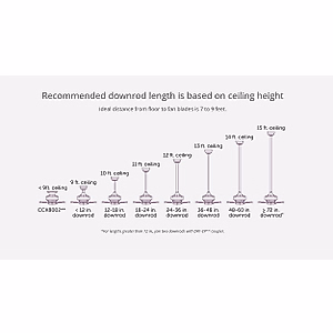 Fanimation Kute 52 inch Indoor/Outdoor Ceiling Fan with Black Blades