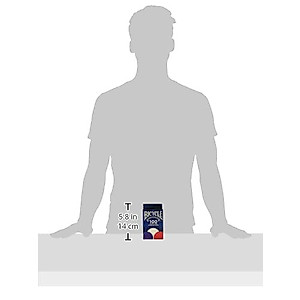 Bicycle Poker Chips - 100 count with 3 colors