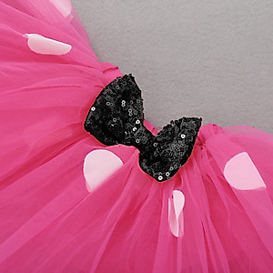 Mouse 2nd Birthday Outfits Baby Girls Short Sleeve Romper Polka Dots Mini Tutu Skirt Headband 2 Years Old Cake Smash Photo Props I’m Two 1st First Second Birthday Party Supply Clothing Set Hot Pink 2T