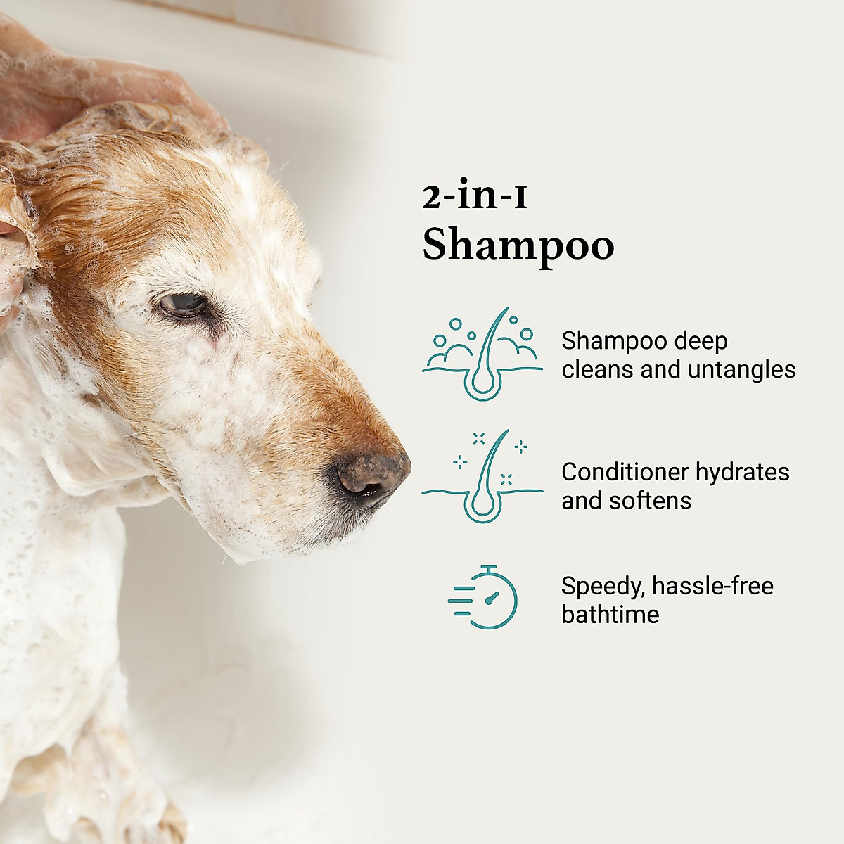 iGroom All-in-One Dog Shampoo + Conditioner, Luxury Pet Beauty Care, Deep Clean All Coat Types, Hydrate and Condition Coat, Made in The USA, 16 oz