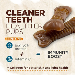 Natural Farm All-Natural Dog Dental Chew, Dog Teeth Cleaning Treats - Fresh Breath, Fight Plaque & Tartar - Canine Mess-Free Oral Care, Teeth Cleaning Chews for Dogs 15-25 Lbs (40 Counts)