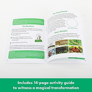 Educational Insights GeoSafari Jr. Butterfly Bungalow, Butterfly Garden Kit, Gift for Kids Ages 4+