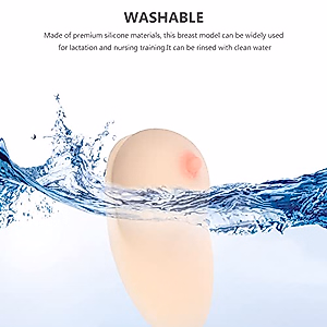 iplusmile Human Female Silicone Breast Silicone Breast Model Lactagogue Breastfeeding Educational Tool for Lactation Teaching Nursing Trainning (24.5x18x15CM)