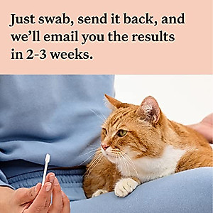 Wisdom Panel Complete: Comprehensive Cat DNA Test kit for 45 Health Genetic Health Conditions, 70+ Breeds and populations, 25+ Traits, Blood Type - 1 Pack
